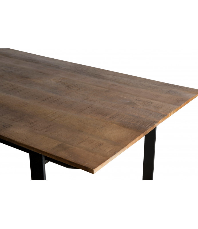 MALAGA-Table à manger 8/10 personnes L200, Manguier massif et métal