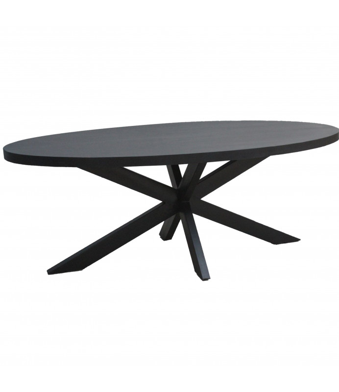 IZA-Table à manger ovale 8/10 personnes L210,Spider et Manguier noir